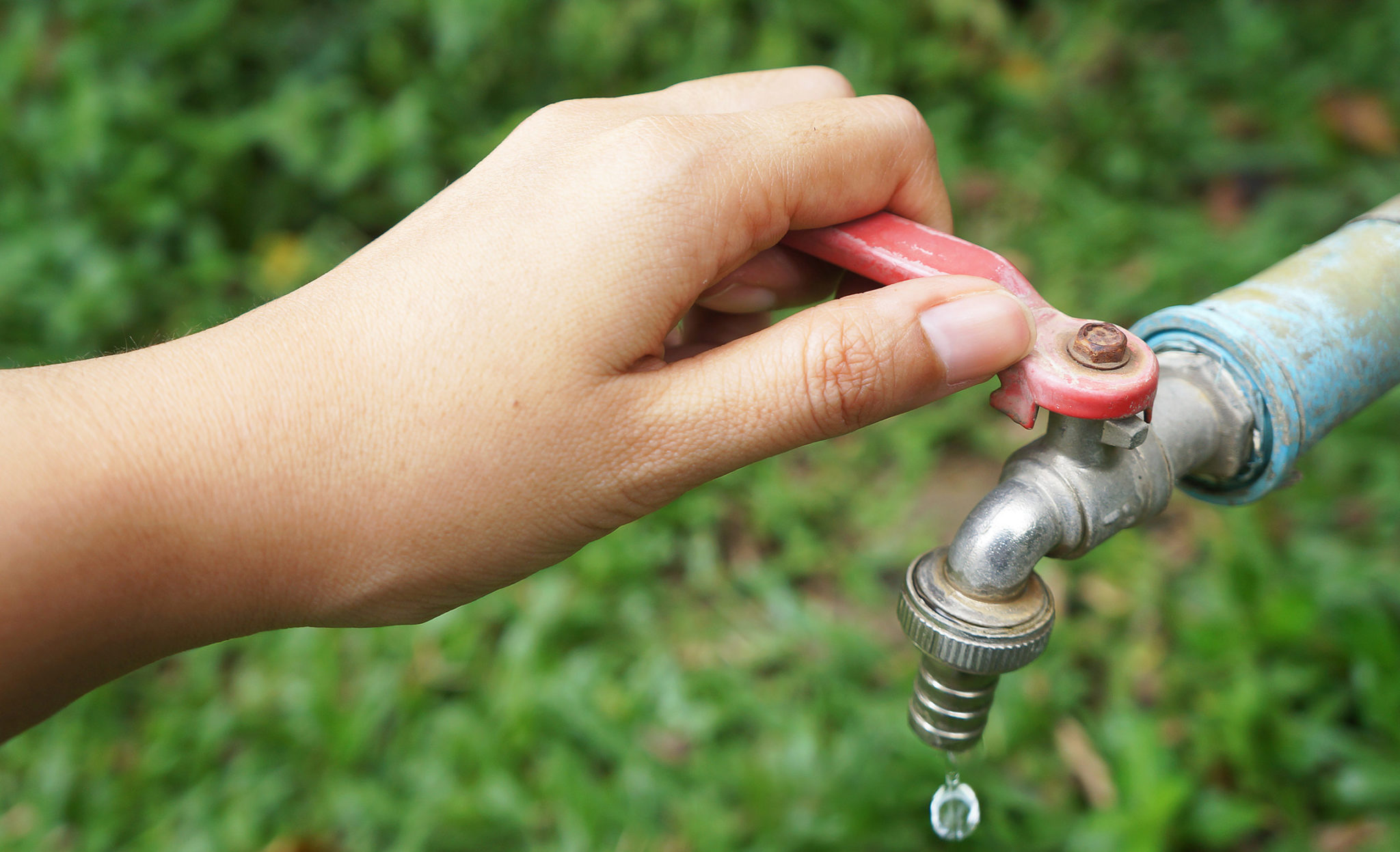 A GUIDE TO ECO-FRIENDLY PRACTICES FOR SUSTAINABLE TOURISM - TPM