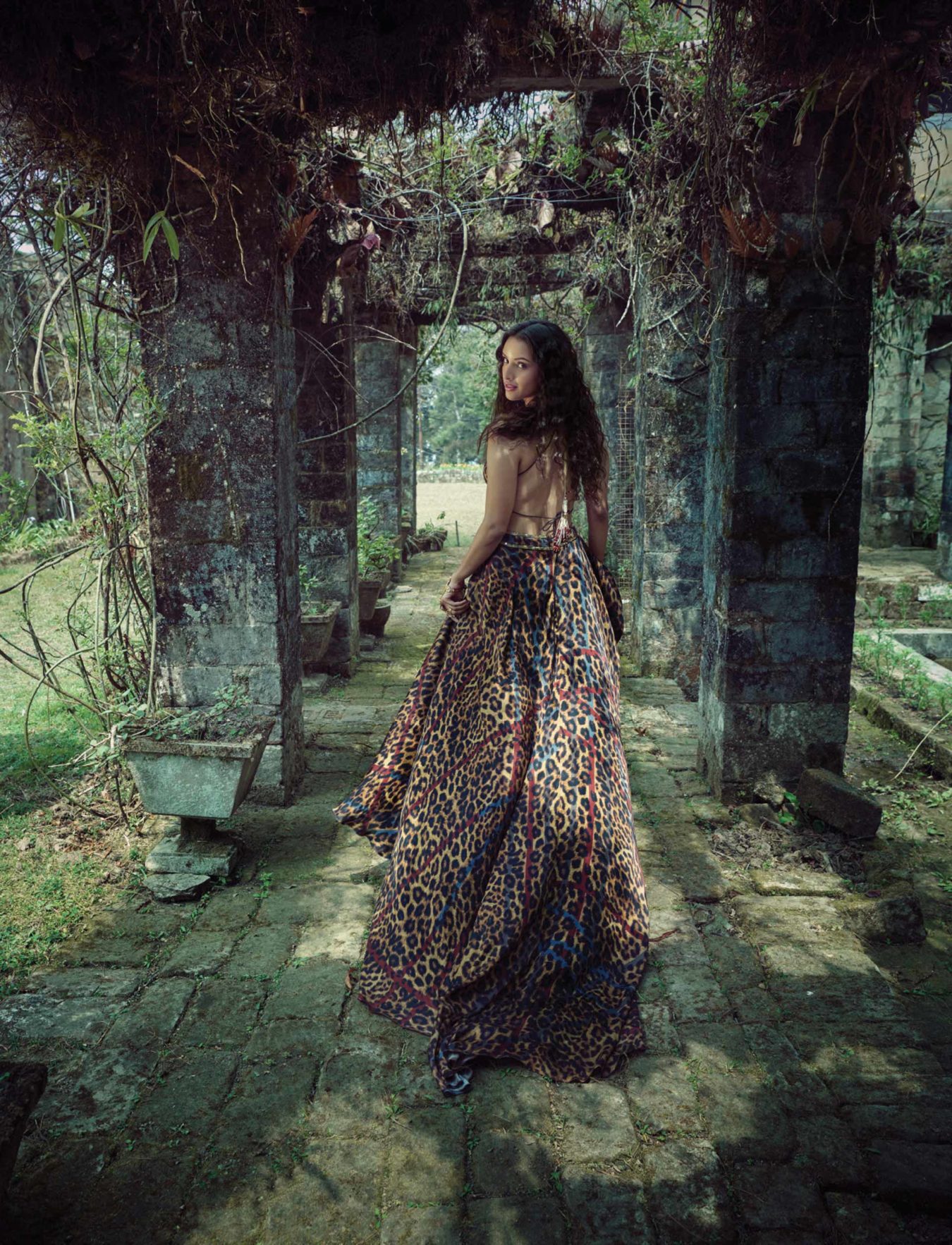 BOLLYWOOD’S RISING STAR - TRIPTII DIMRI - TPM