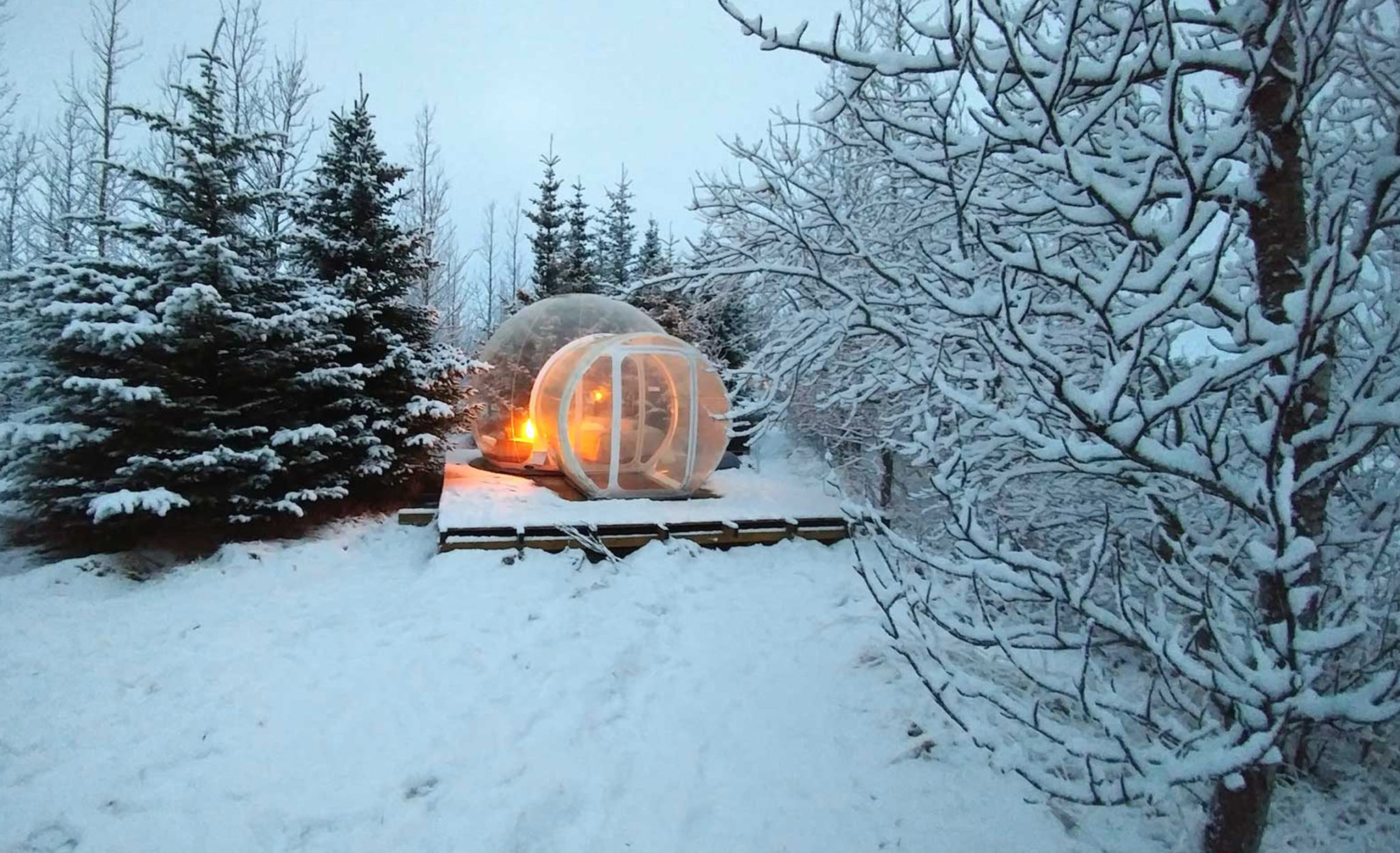 GLAMPING JUST GOT REDEFINED WITH THIS ONE-OF-A-KIND, TREE BUBBLE HOTEL ...