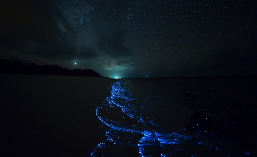 7 ASTOUNDING NATURAL PHENOMENA IN THE WORLD WORTH WITNESSING - TPM