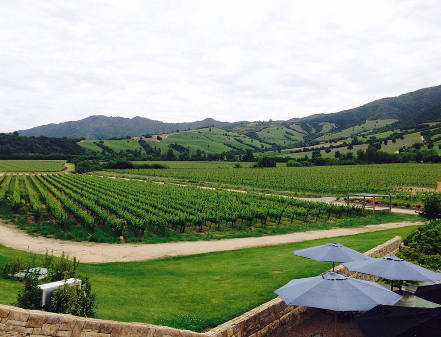 5 STUNNING WINE DESTINATIONS ACROSS THE WORLD