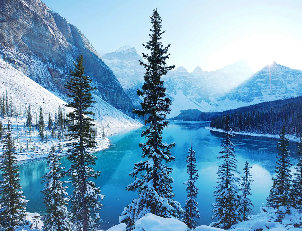 Calling all adventure-seekers to take the polar plunge challenge