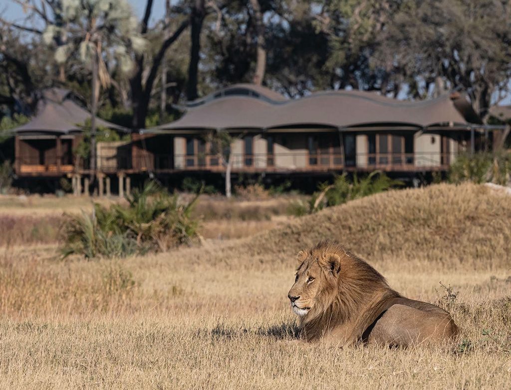 SAY HALLO TO THE WILD FROM AFRICA’S 5 MOST LUXURIOUS SAFARI LODGES - TPM